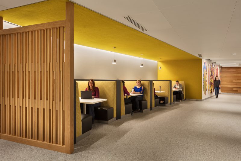 Bristol-Myers Squibb - Architectural & Interior Photography